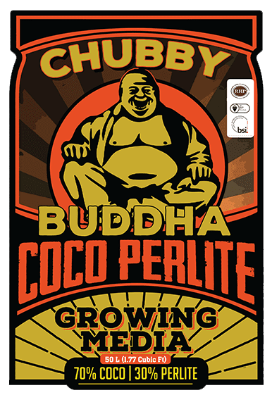 Home - Chubby Buddha